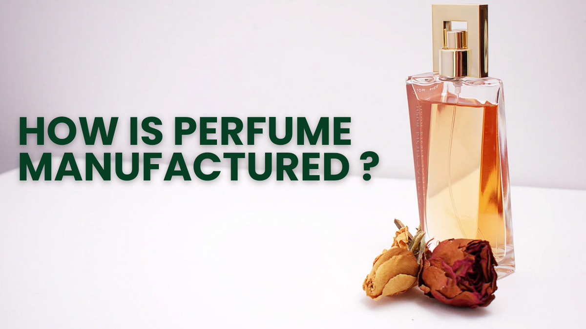 How is Perfume Manufactured at Large Scale: A Comprehensive Guide ...