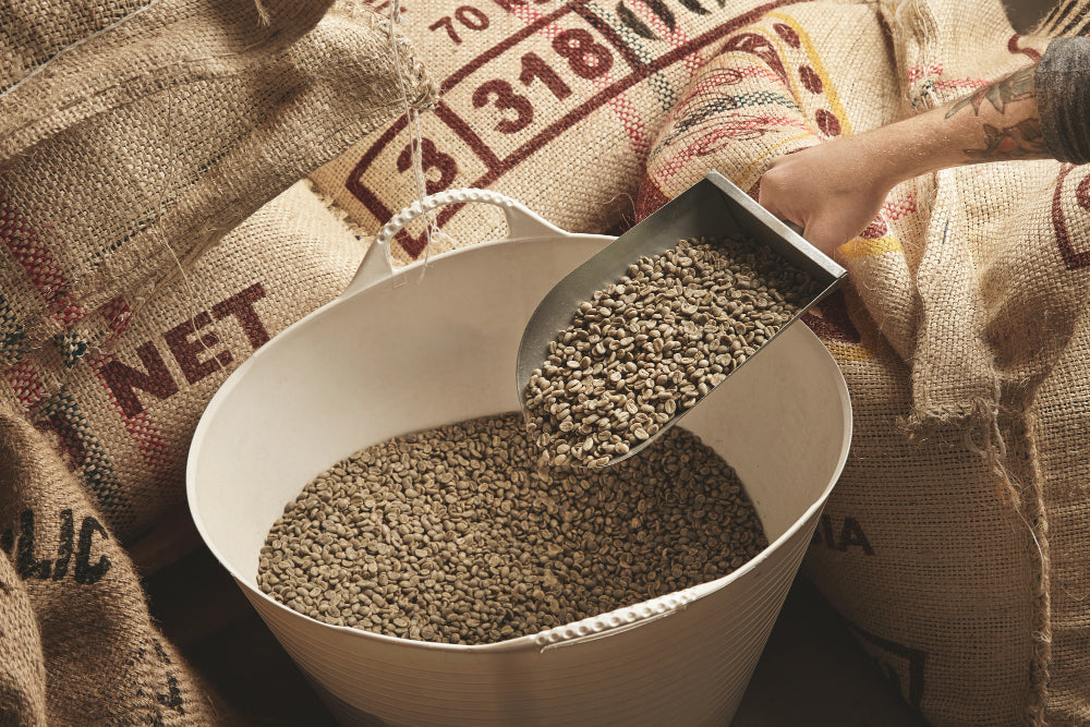 What Are Feed Additives & Why They’re Vital in Animal Nutrition – aseschem
