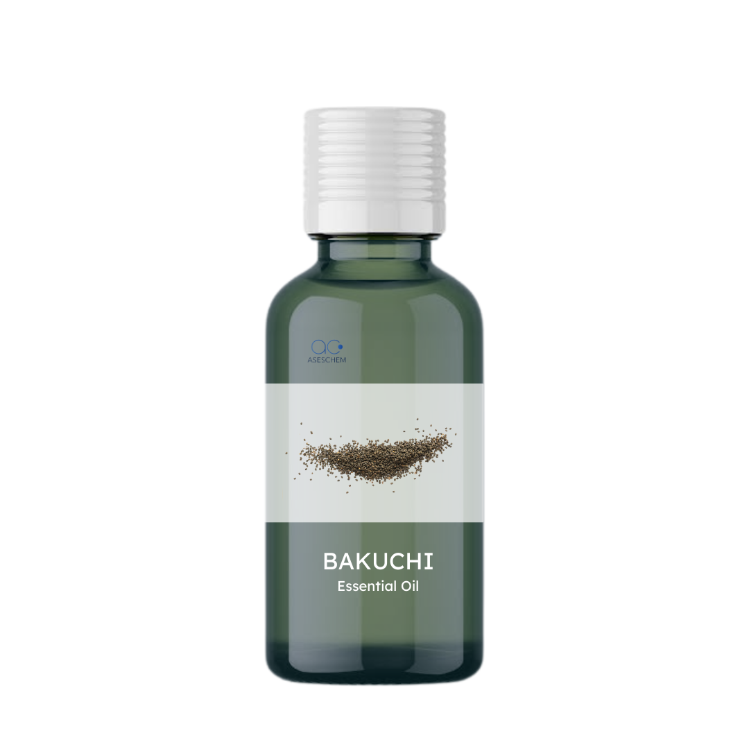 Oil Essential Bakuchi/ Baochi/Babchi (100% Natural) – aseschem
